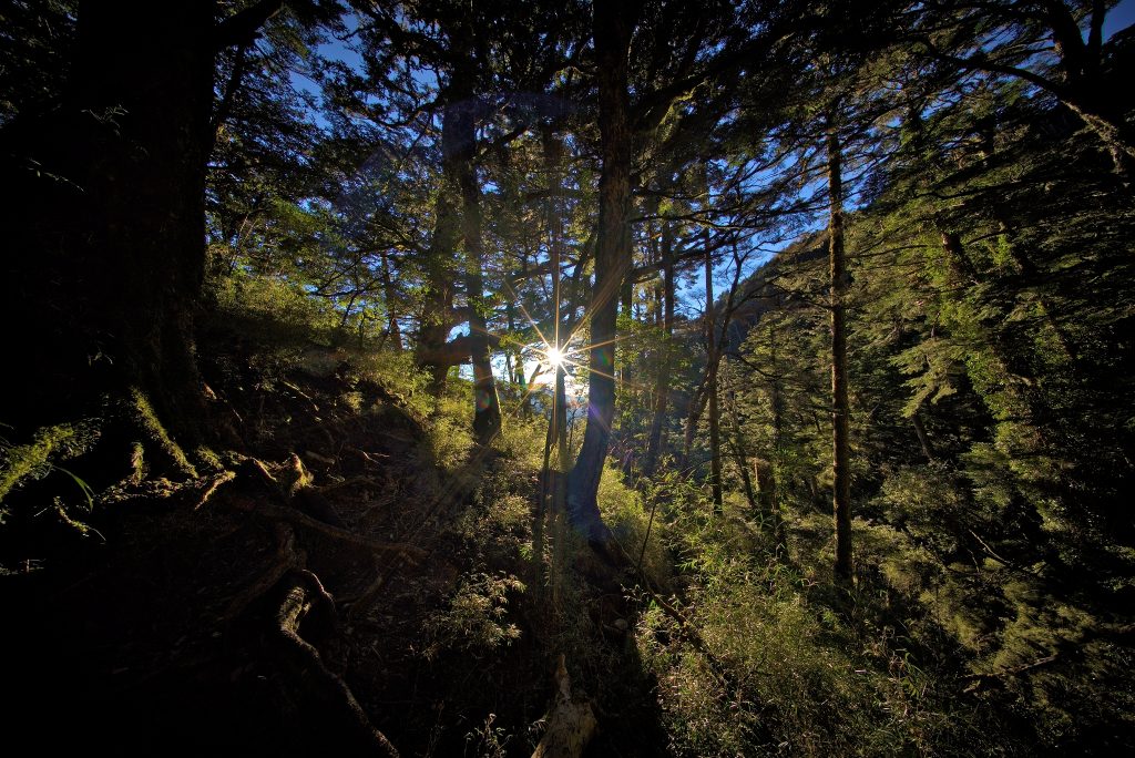 Jiaming Lake – AwOiSoAk