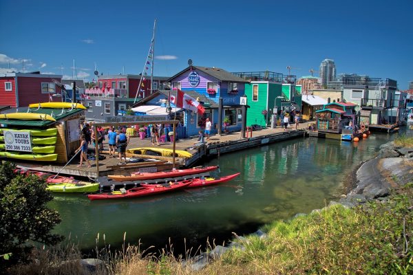 What to do in a road trip in Vancouver Island | AwOiSoAk