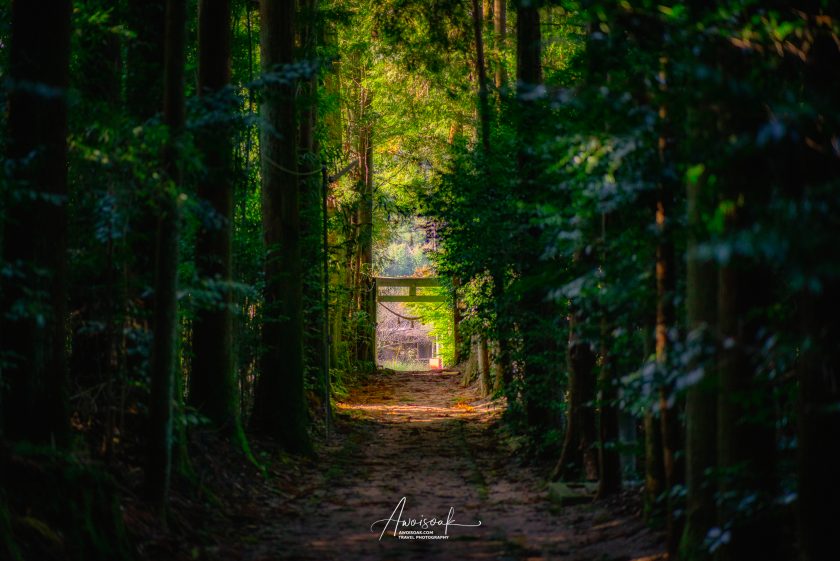 Nakasendo Trail (Magome to Tsumago) – AwOiSoAk